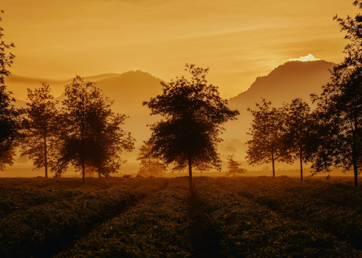 Tuesday, November 12, 2024 – Theology of Home
