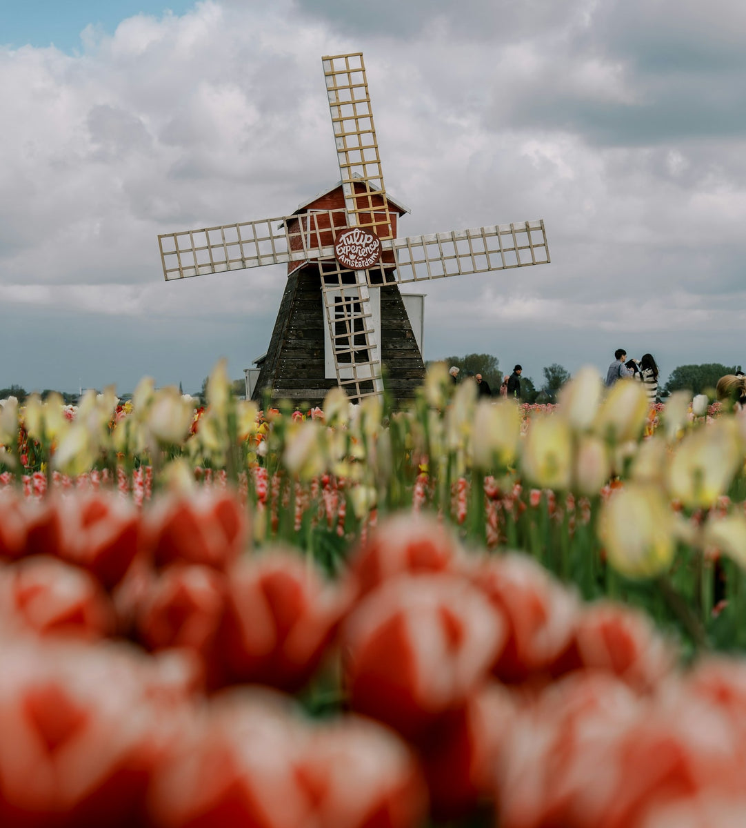 Wednesday, July 17, 2024 – Theology of Home