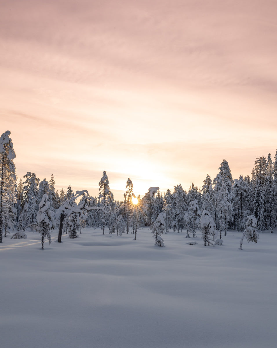 Monday, February 6, 2023 – Theology of Home